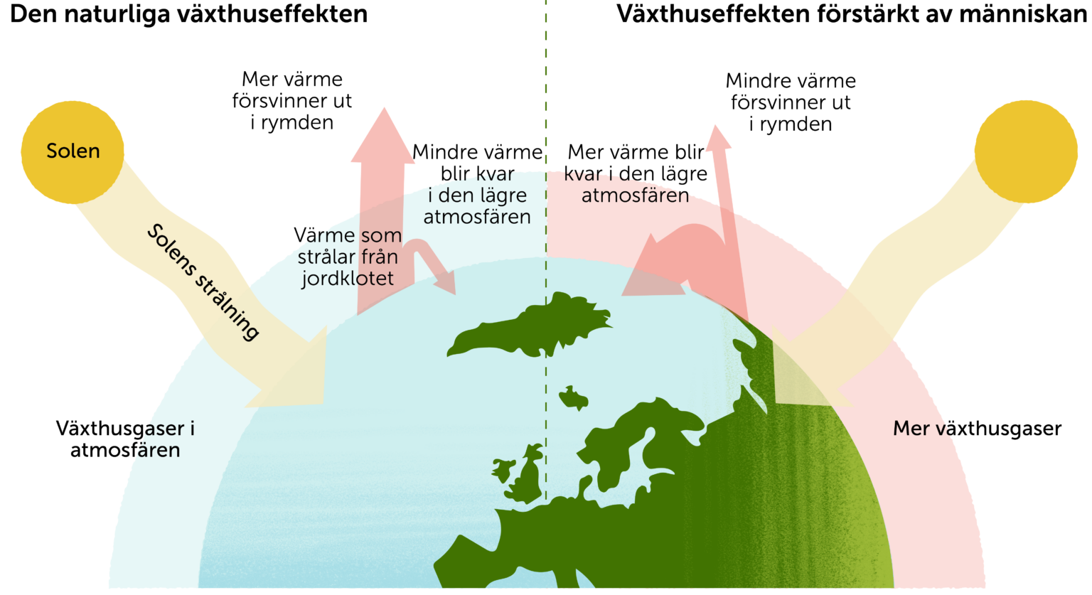 Växthuseffekten - Kurs i Regenerativt Jordbruk